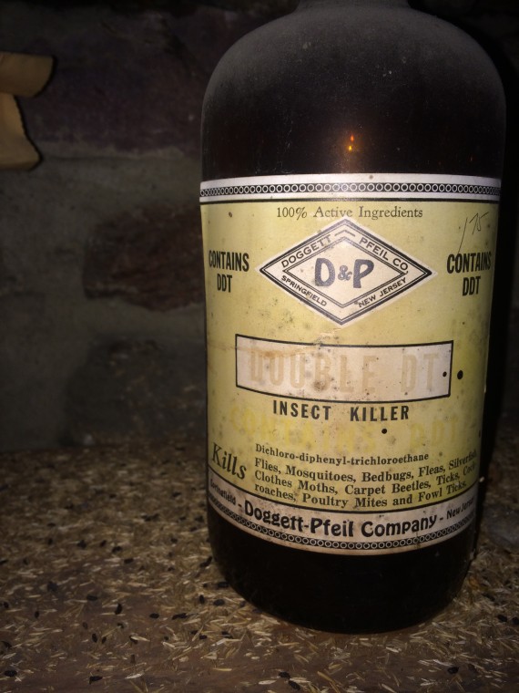 Ace Home Inspection, Inc » DDT Insect Killer